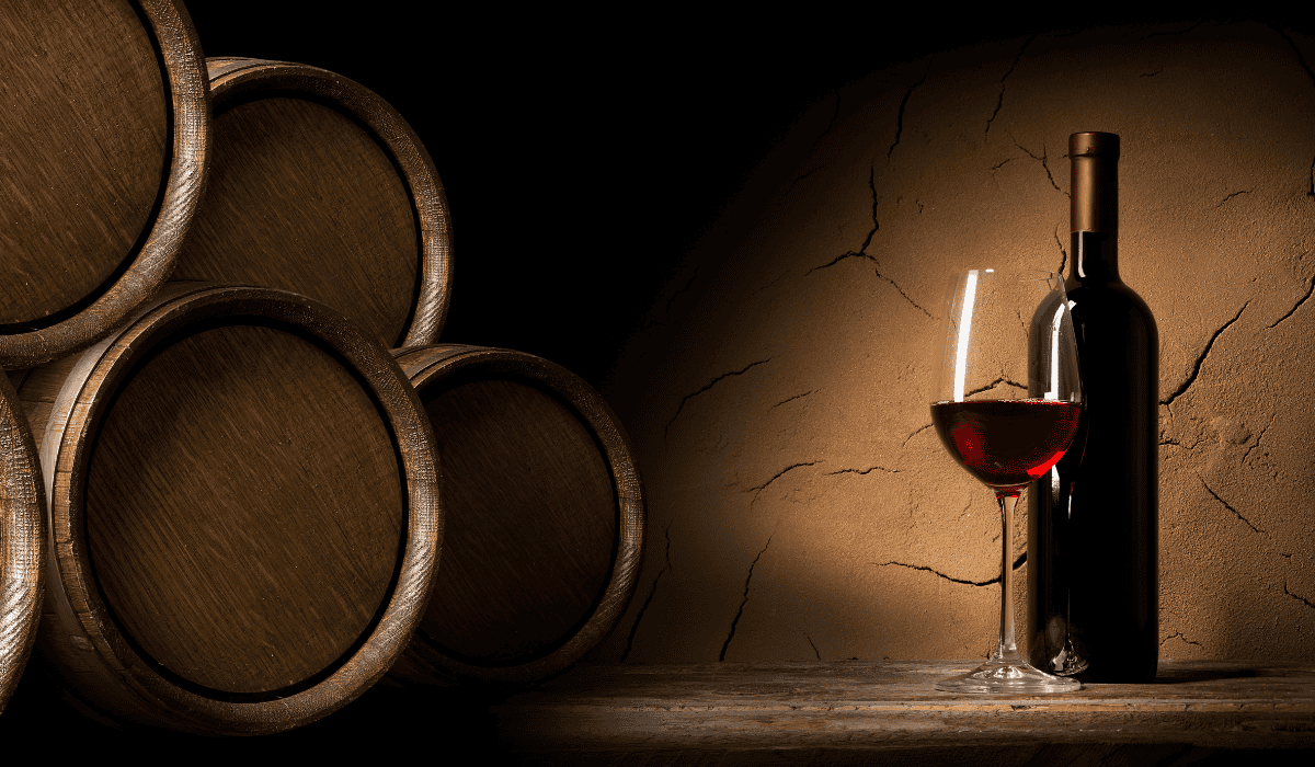 Vino Del Vida - "Wine is sunlight, held together by water" - Galileo